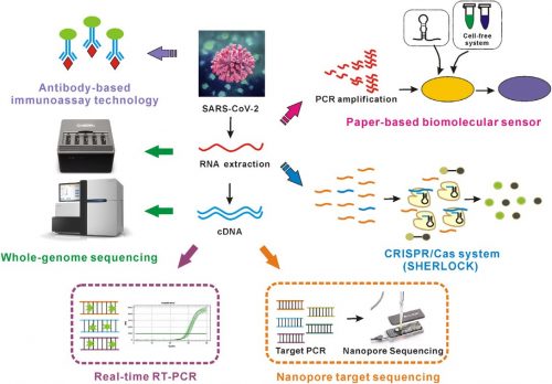 COVID-19 Test Methods: PCR, Antigen, and Antibody Test - JOYSBIO