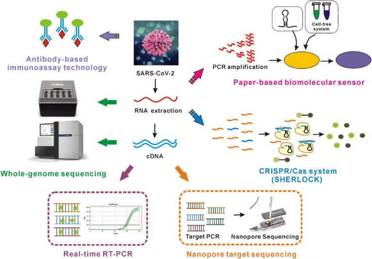 COVID-19 Test Methods: PCR, Antigen, and Antibody Test - JOYSBIO