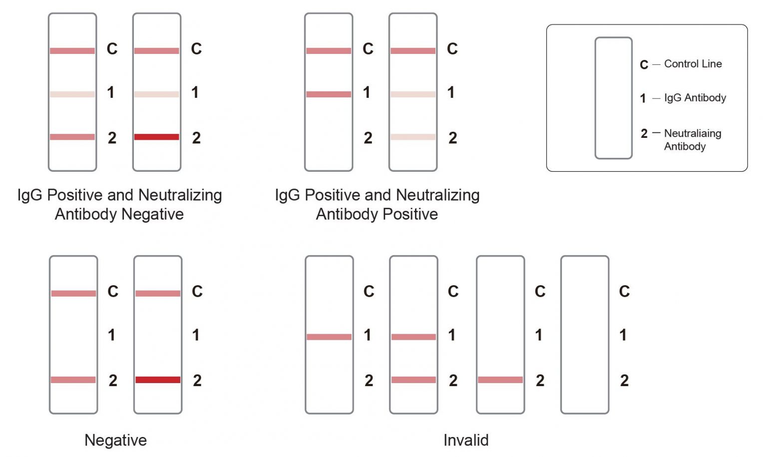 COVID-19 Neutralizing Antibody Test Kit - JOYSBIO Biotechnology
